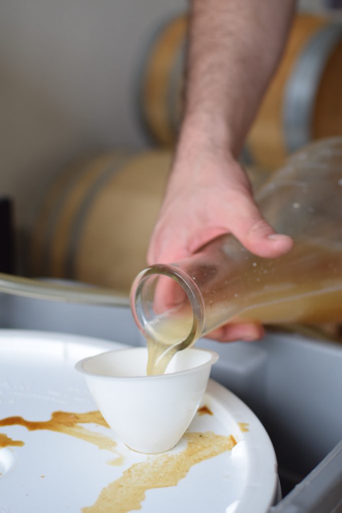 Back to Basics with Kyle Harrop of Horus Aged Ales • Hop Culture