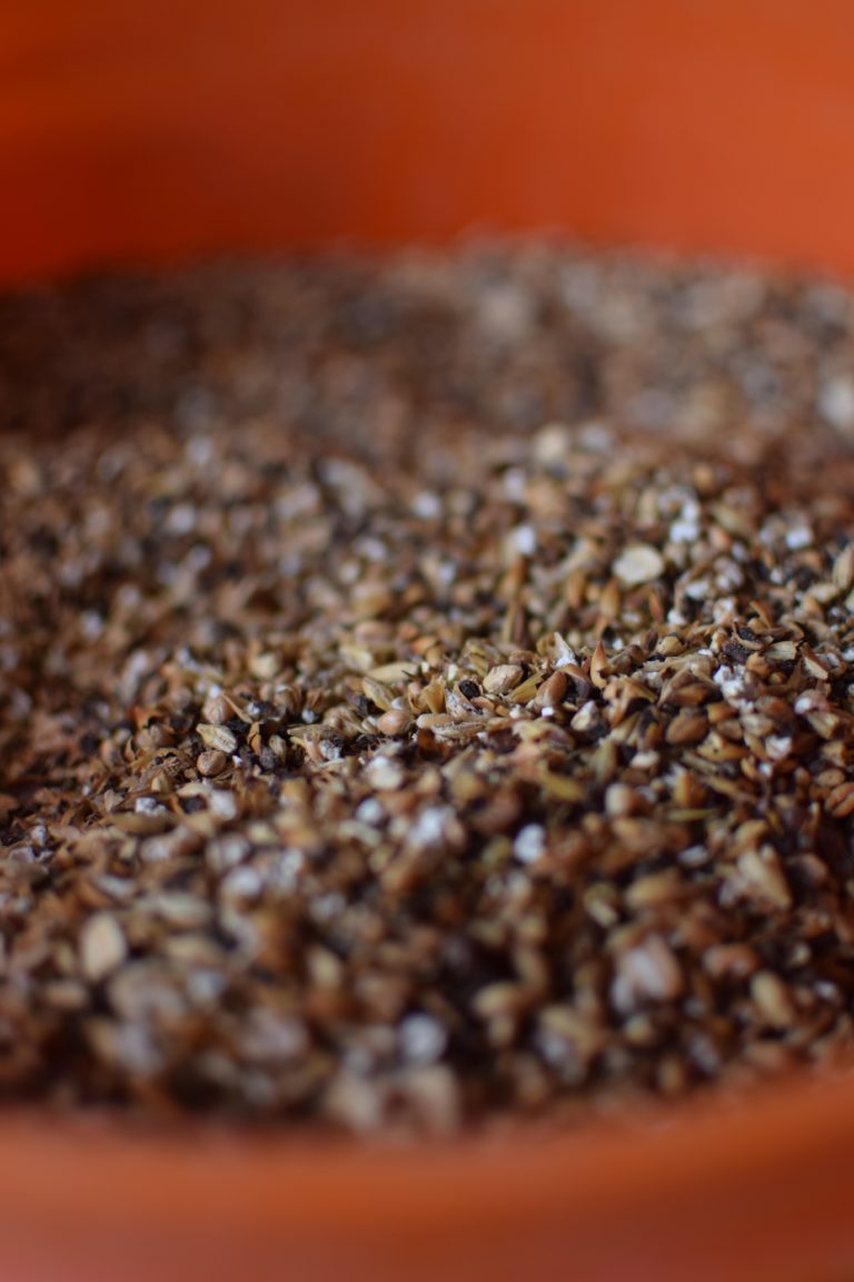 Back to Basics with Kyle Harrop of Horus Aged Ales • Hop Culture