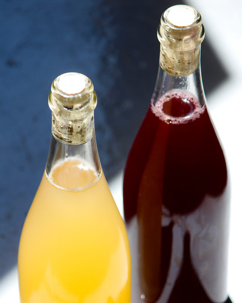 Meet New Jersey's Best New Brewery, The Seed: A Living Beer Project ...