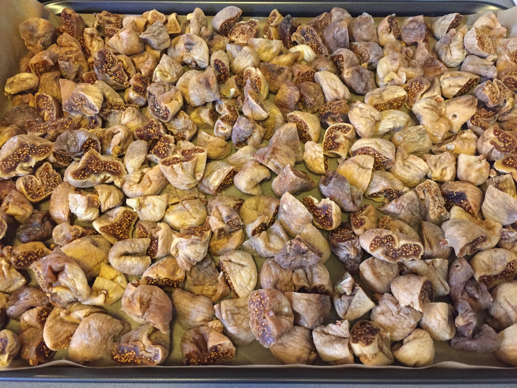 Meet Iranian and Female-owned Back Home Beer, Brooklyn’s Latest Craft ...