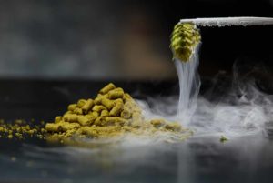What Are Cryo Hops? • Hop Culture