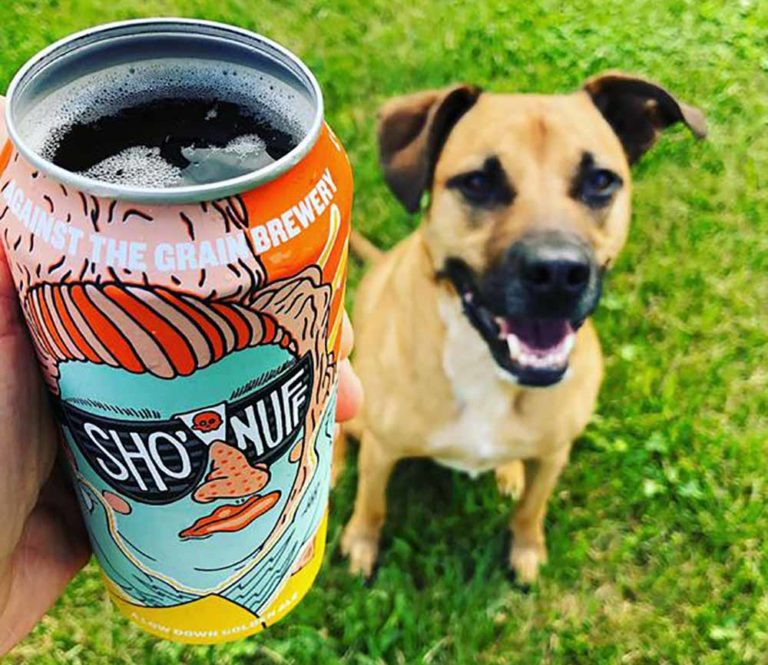 8 Pieces of Beer Gear To Make the Summer Even Better • Hop Culture