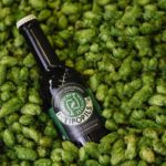 What Is an Italian Pilsner? • Hop Culture