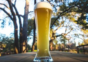 What Is a Hefeweizen? • Hop Culture