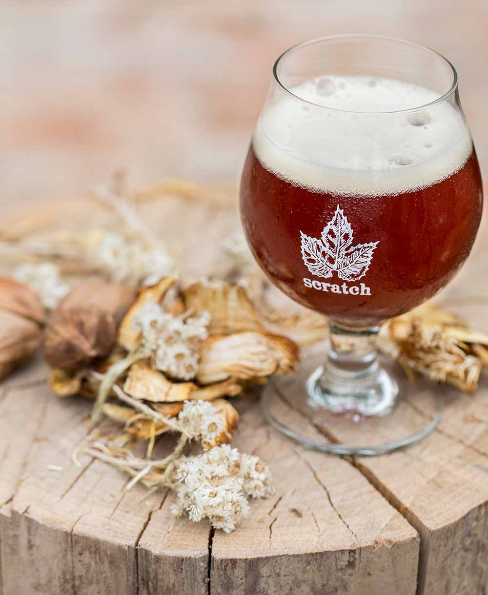 What Is a Gruit? • Hop Culture