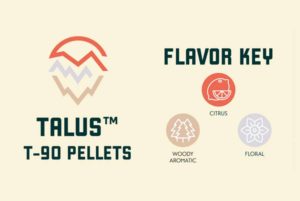 The 5 Hottest Hops of 2022, According to an Expert • Hop Culture