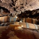 The 27 Best Beers We Drank in 2022 • Hop Culture