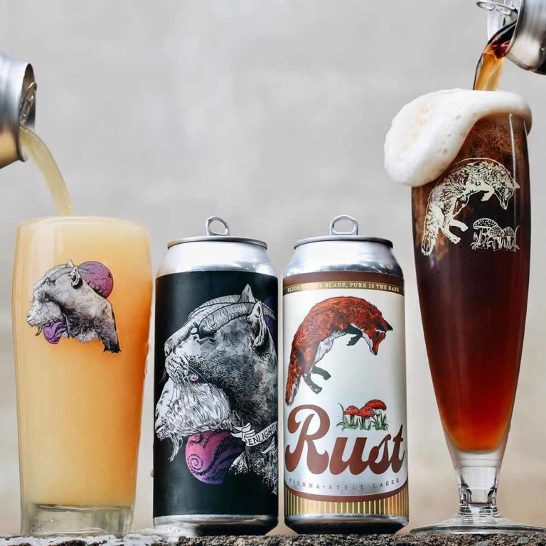 The Top 10 Beers We Drank in January • Hop Culture