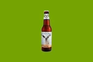 The 13 Best American Pale Ales Available in Most Stores Right Now • Hop ...