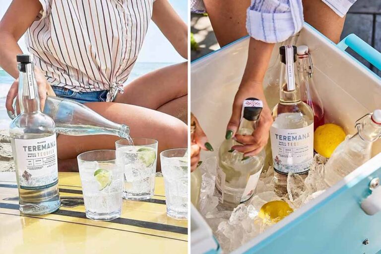 The 11 Top Tequilas to Try in 2023 • Hop Culture