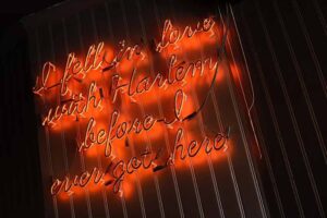 Pouring Diversity: How Harlem Hops Redefines the Craft Beer Bar • Hop ...