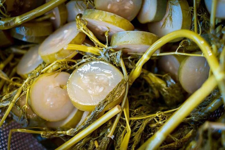 A Pretty Big Dill: Hop Culture’s Pickle Beer Primer • Hop Culture