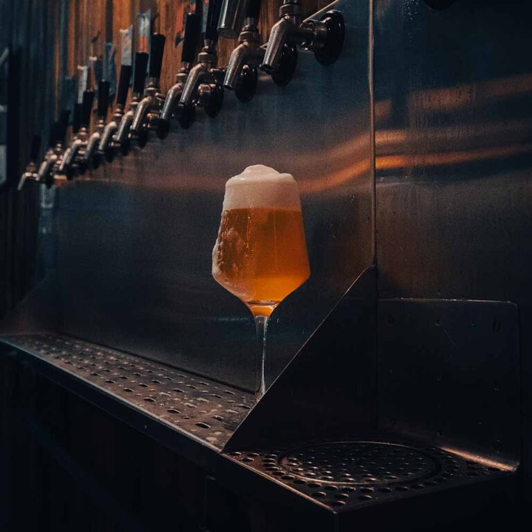 A Norwegian, an Argentinian, and a Raccoon Walk Into a Bar: A Story as ...