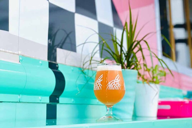 Walking Tree Brewing: Staying Rooted, Shots of Barleywine • Hop Culture