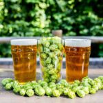 Breaking Bales (and Tacos) With Bale Breaker: The Freshest Fresh Hop ...